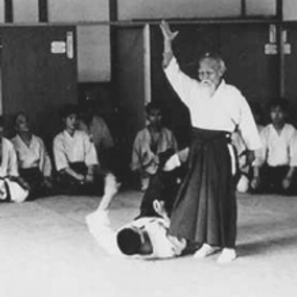 Iwama Notes: Part 1 - Levels of Practice